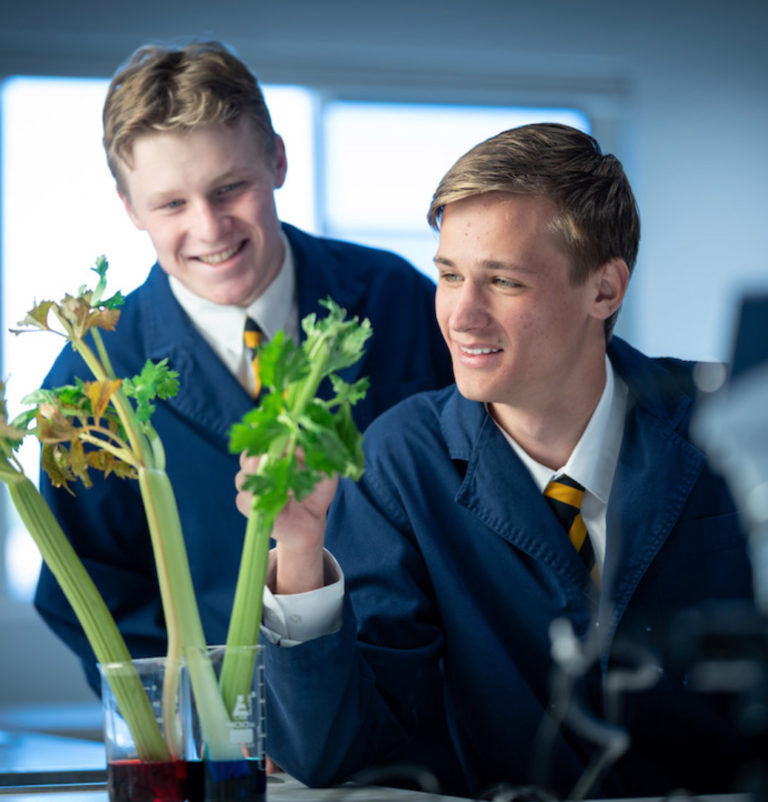 Graduate Profiles - The Scots College